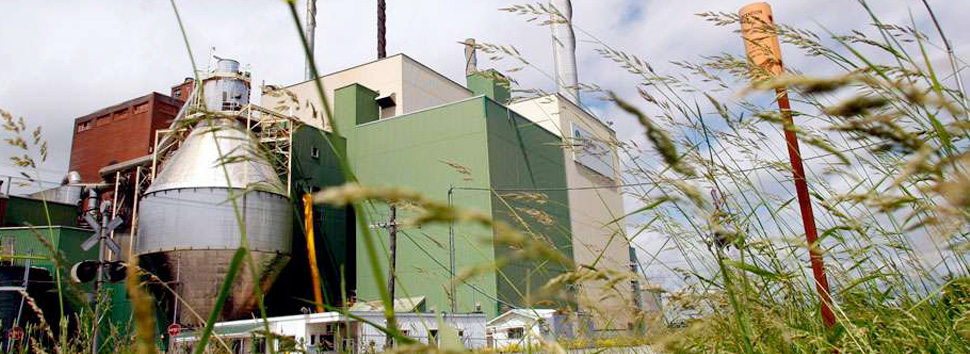 Thurso Mill project - LNA Group